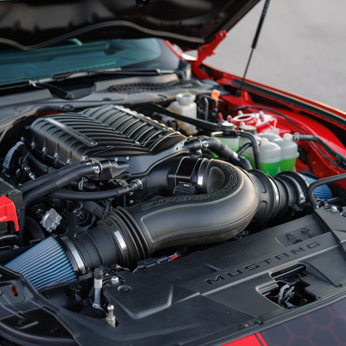 2026 Shelby Super Snake R - Raw Track-Led Performance - DailyRevs