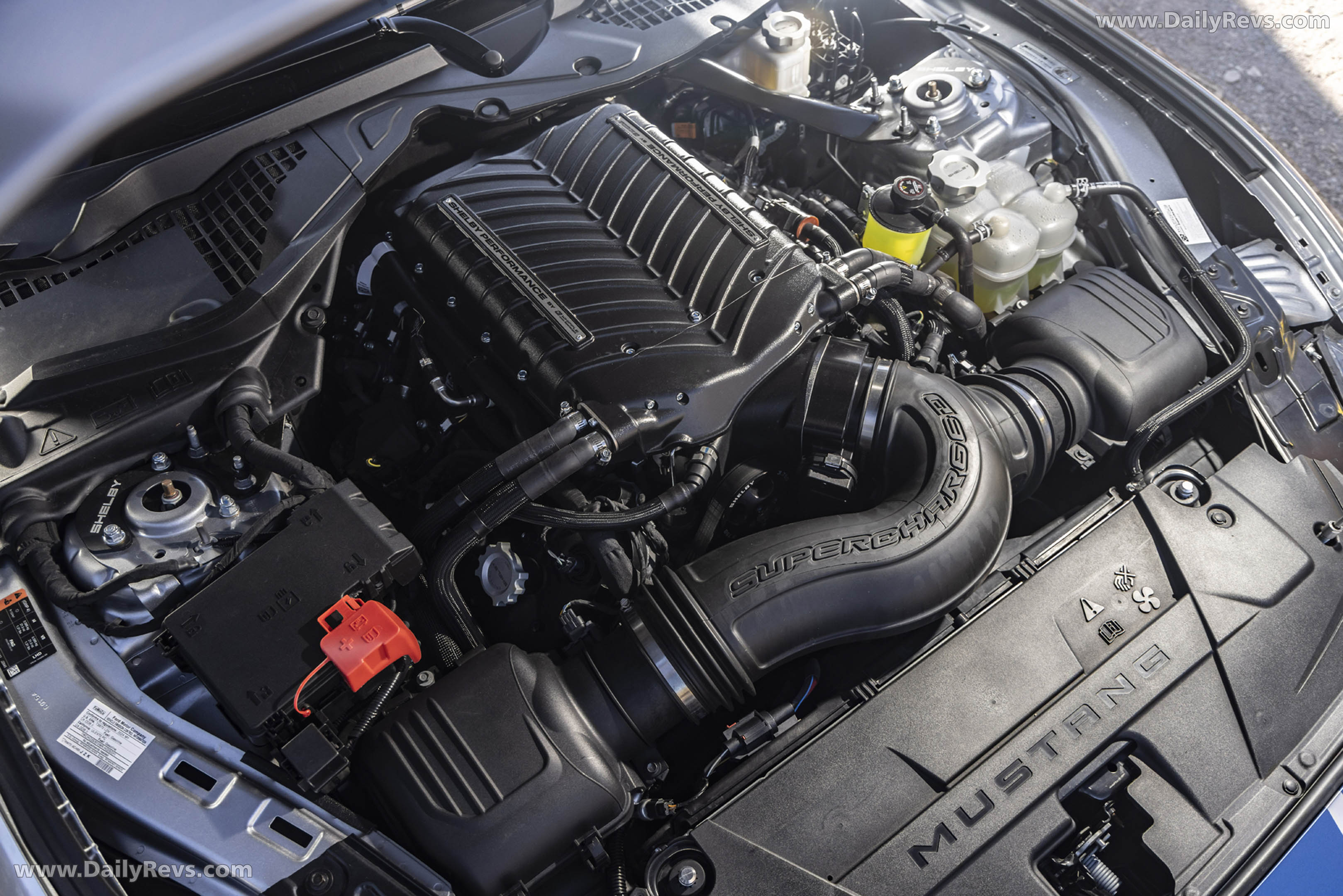 2026 Shelby American Super Snake Returns as a Newest Version of ...